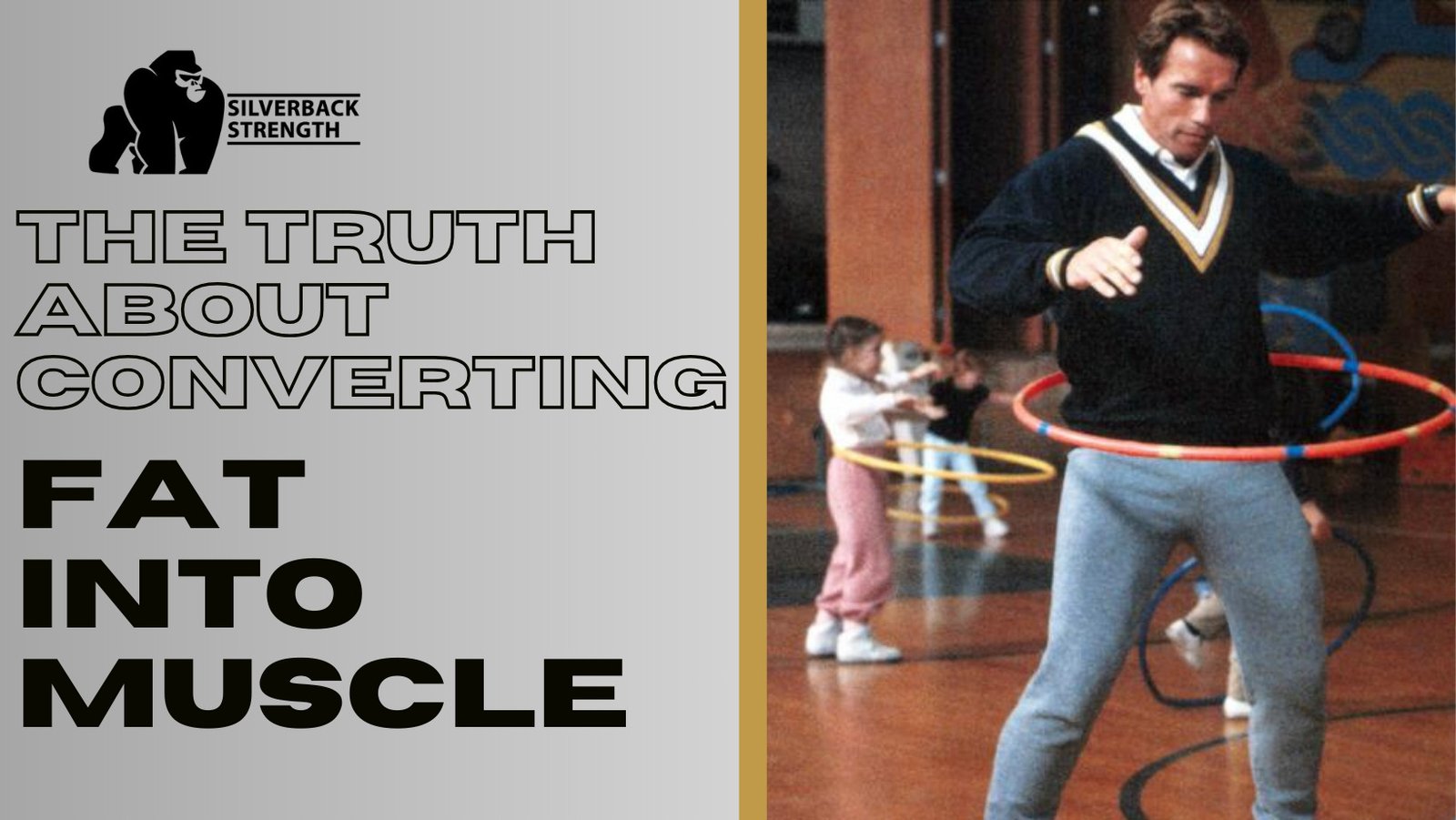 DO WE CONVERT FAT INTO MUSCLE? – Silverback Strength